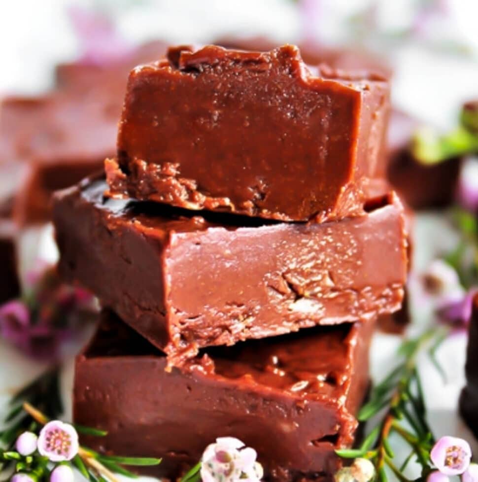 Almond Butter Freezer Fudge - The Hidden Veggies