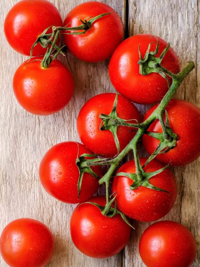 7 Vegan Recipes Using Fresh Ripe Tomatoes - The Hidden Veggies