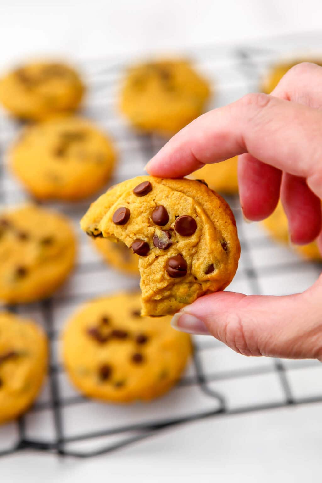Vegan Chocolate Chip Pumpkin Cookies - The Hidden Veggies