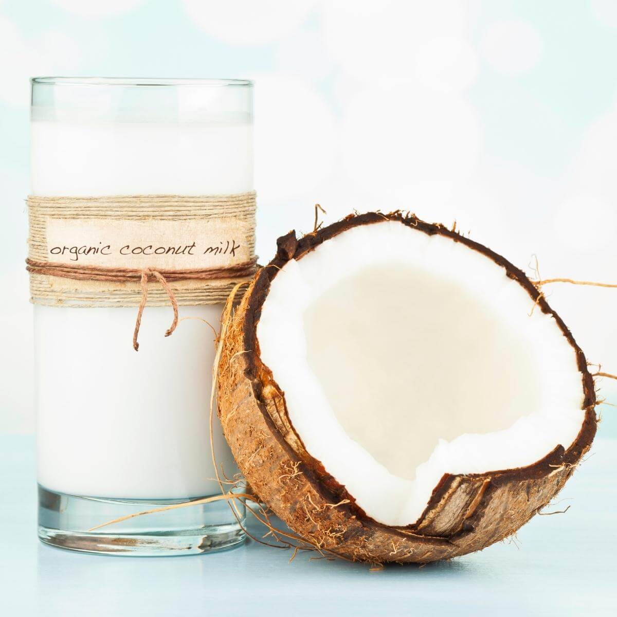 Is Coconut Milk Vegan The Hidden Veggies