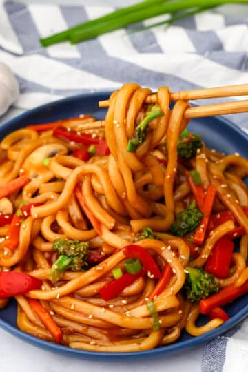Vegan Udon - The Hidden Veggies