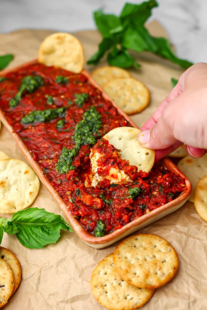 Vegan Sun-Dried Tomato Dip - The Hidden Veggies