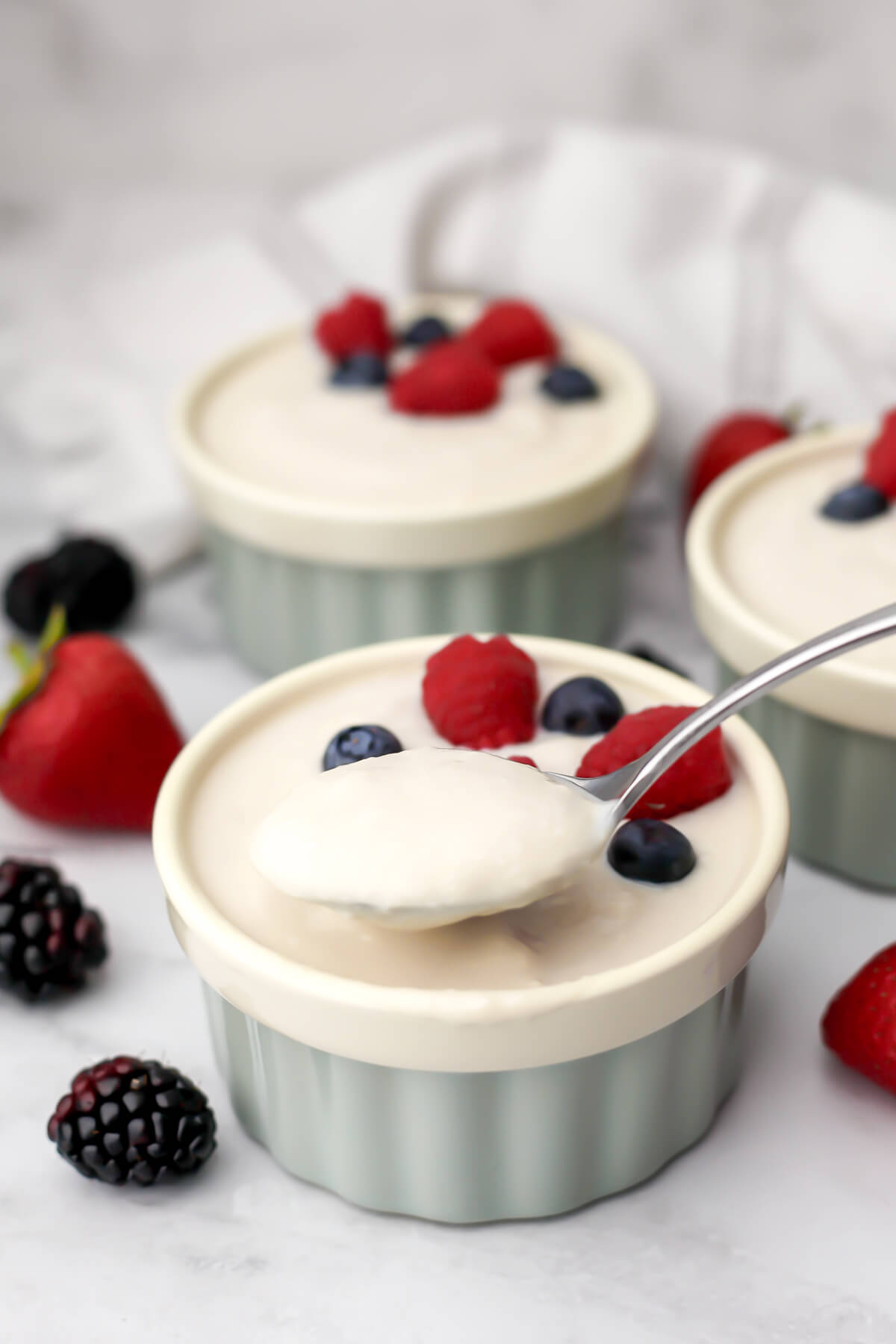 Vegan Greek Yogurt - The Hidden Veggies